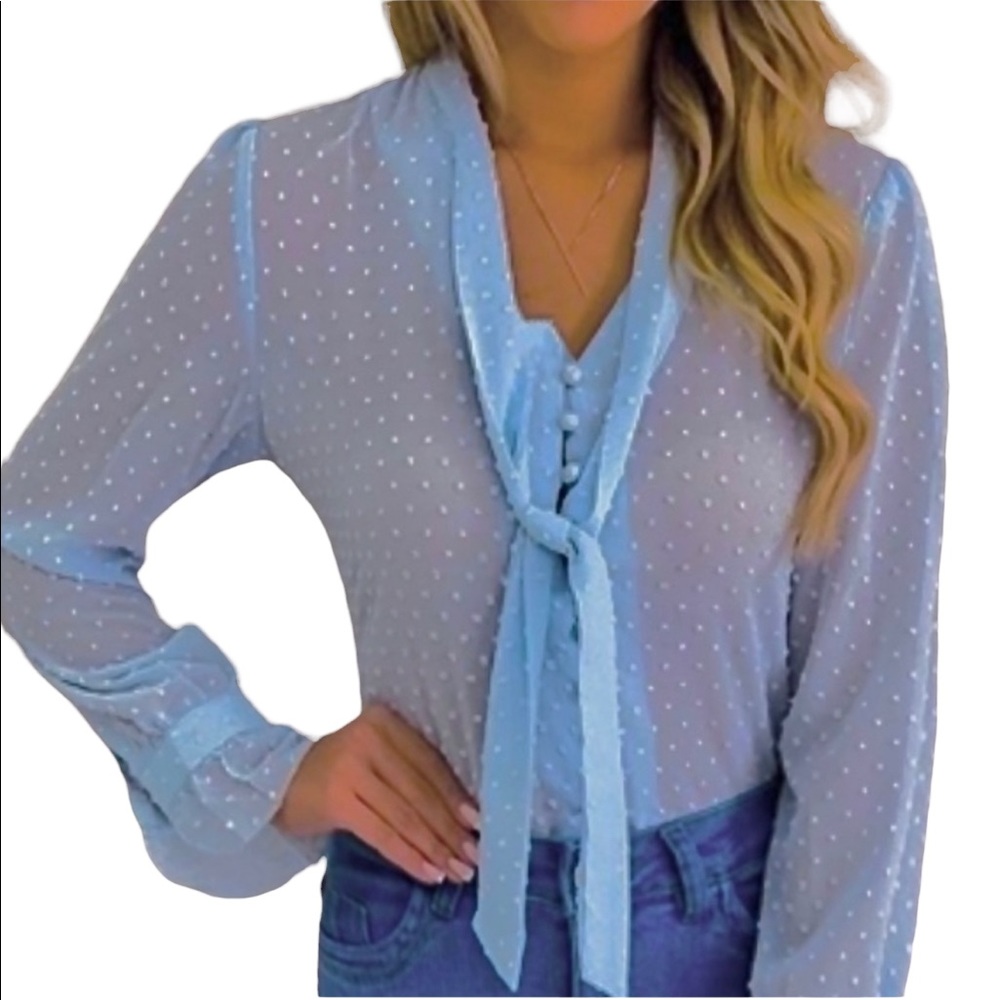 Sheer Button Down Ruffle Blouse - Gem